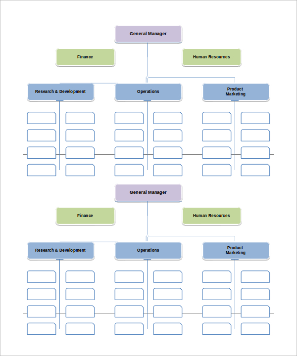 Functional Org Chart Template: Everything You Need To Know ...