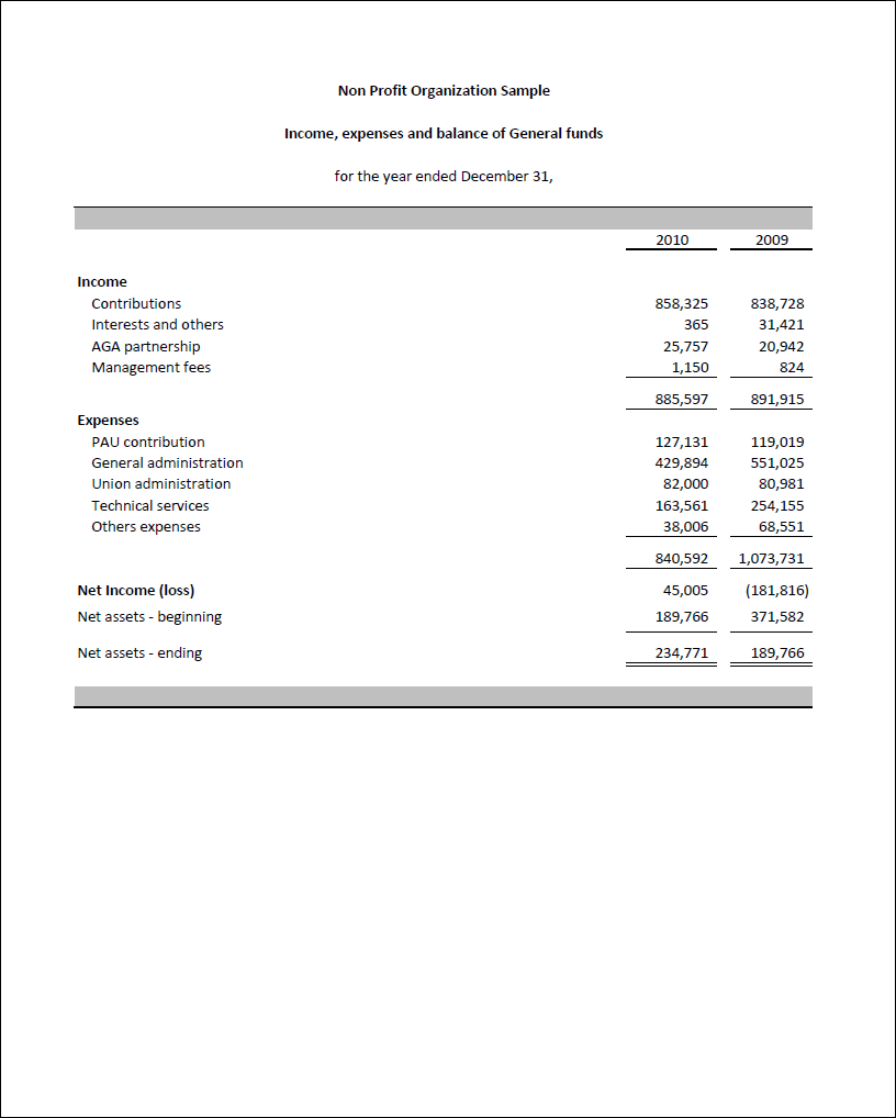 Non Profit Financial Statement Template: What You Need To Know ...