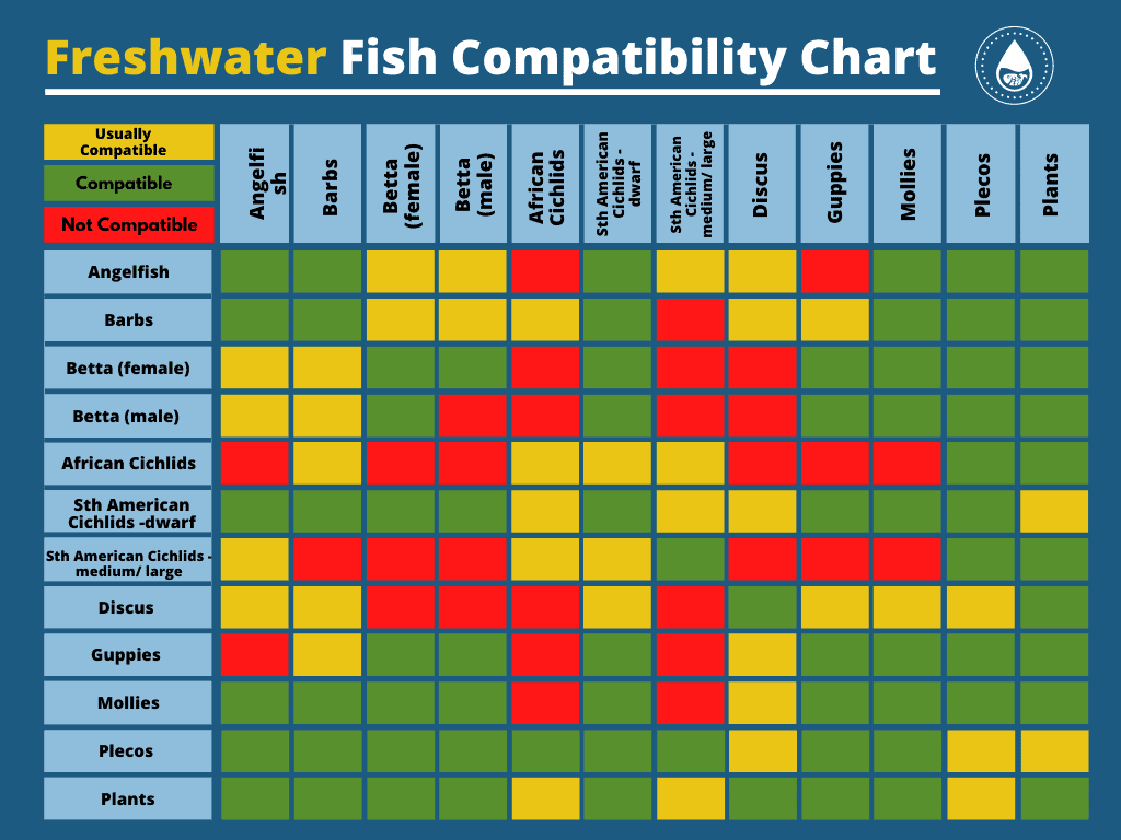 What Is A Compatibility Chart? | Templatesz234.com - Templatesz234.com